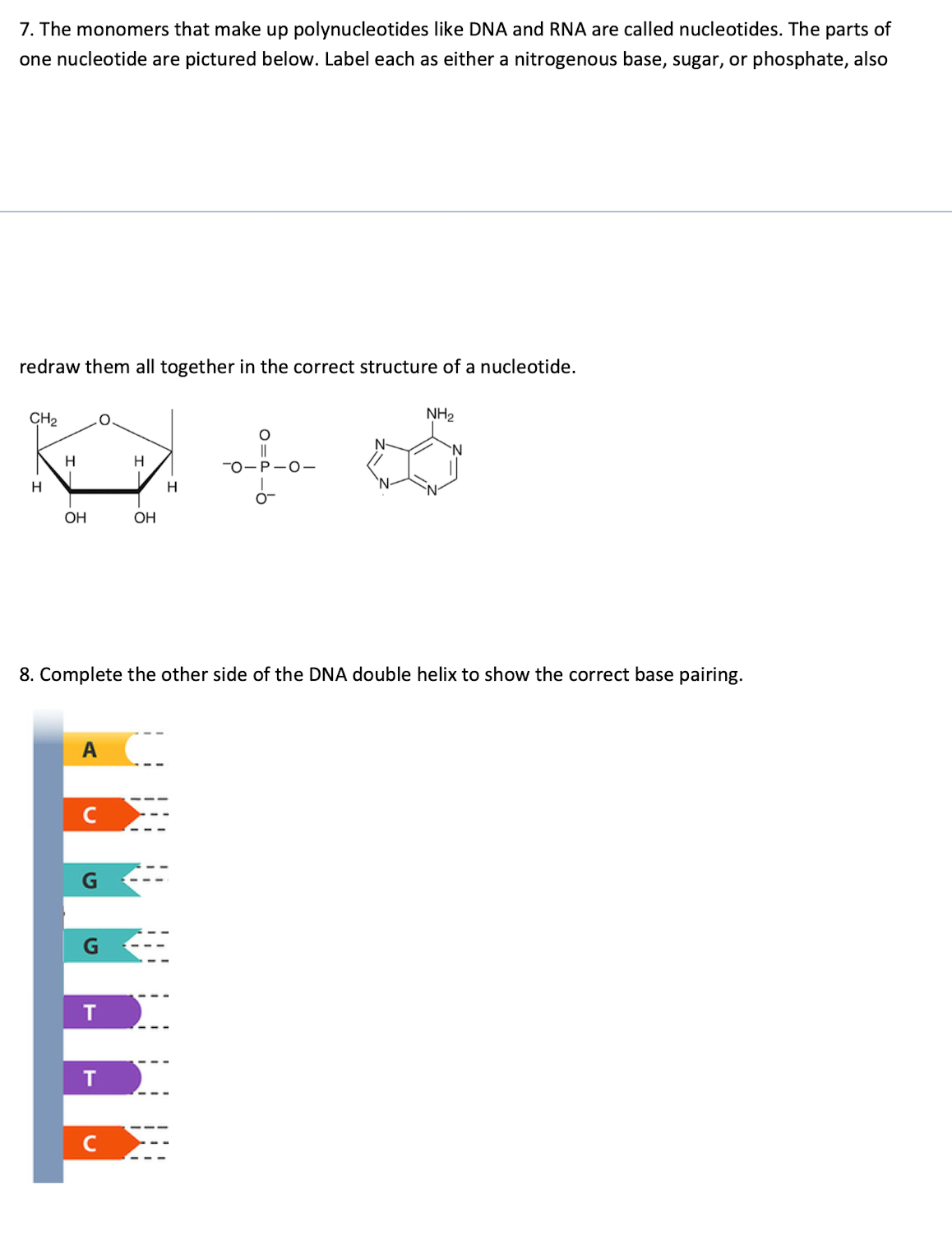 Solved 7. The monomers that make up polynucleotides like DNA | Chegg.com