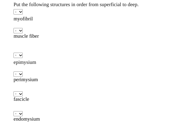 Solved Put the following structures in order from | Chegg.com