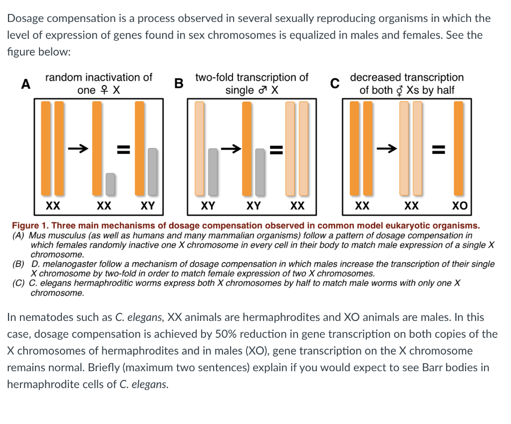 Solved Dosage compensation is a process observed in several | Chegg.com