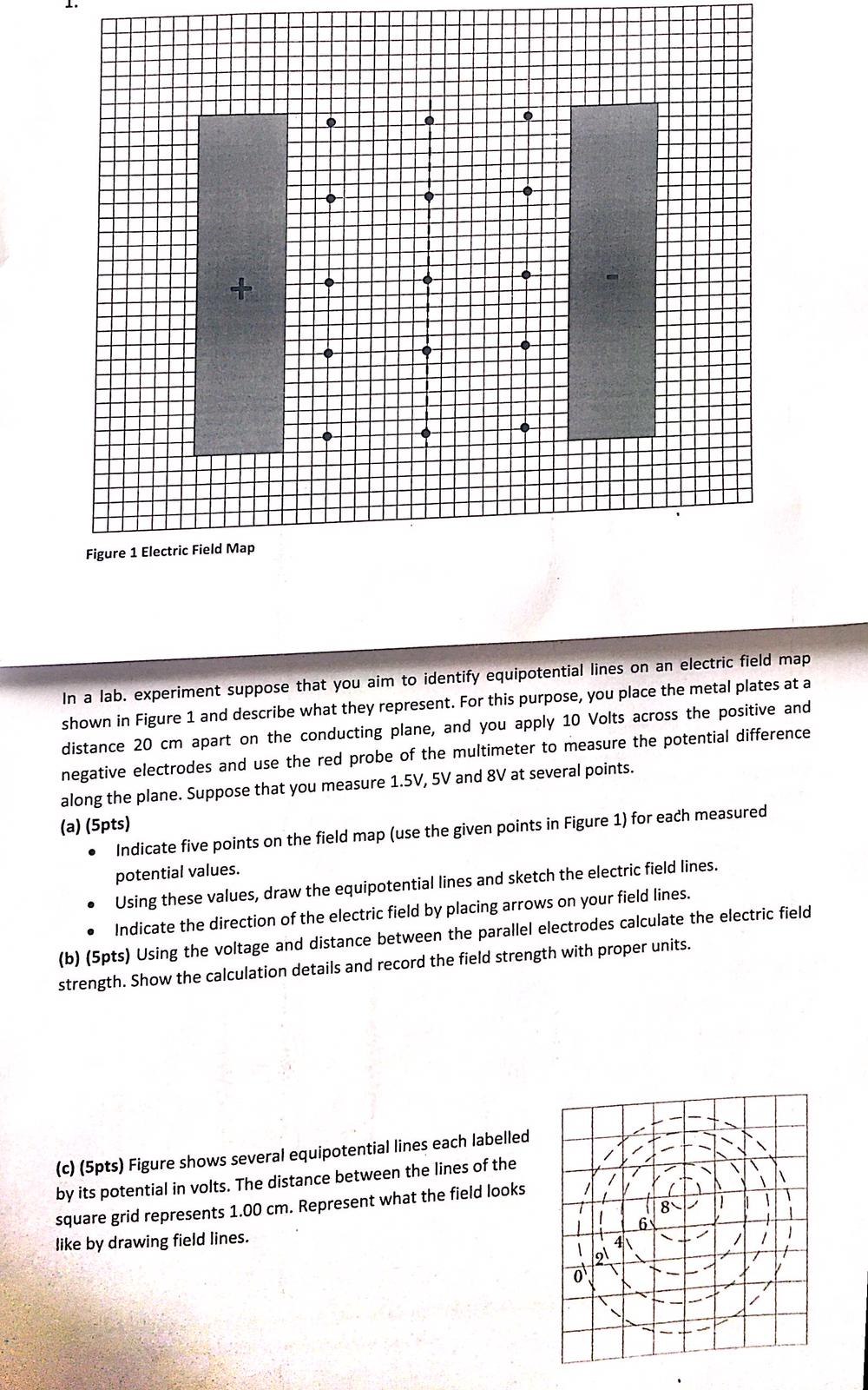 Solved + Figure 1 Electric Field Map In a lab. experiment | Chegg.com