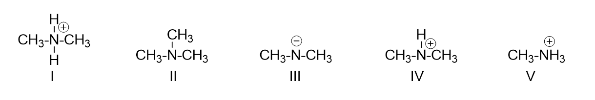 Solved Н. CH3-N-CH3 CH3 CH3-N-CH3 II CH3-N-CH3 III Ho | Chegg.com