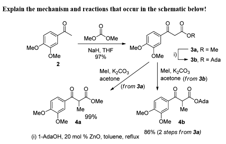 Solved Explain the mechanism and reactions that occur in the | Chegg.com