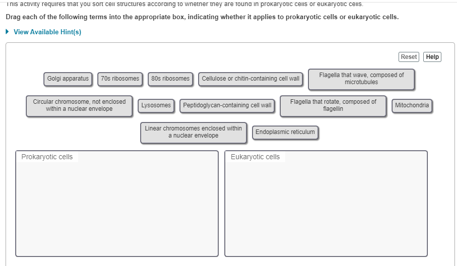 Solved Inis activity requires that you sort cell structures | Chegg.com