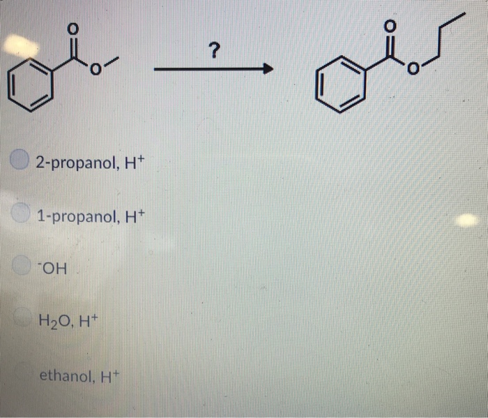 Solved Question 1 (2 points) D What is the IUPAC name of | Chegg.com