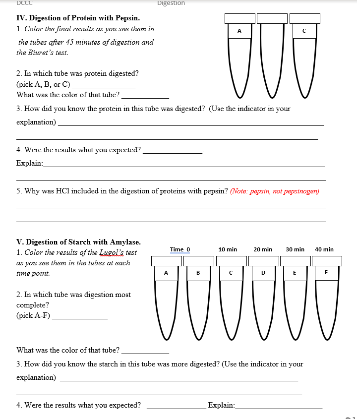 Lab Report #9 – Digestion Name: II. Visualizing Bile | Chegg.com