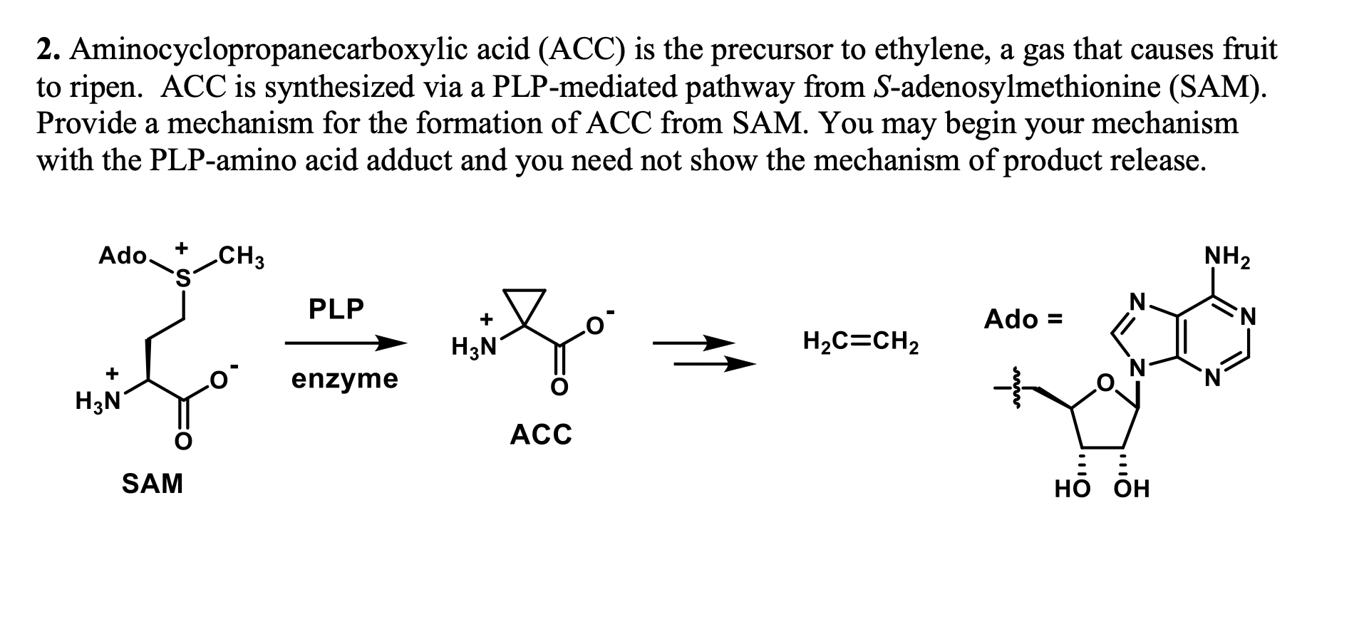 Solved 2. Aminocyclopropanecarboxylic acid (ACC) is the | Chegg.com