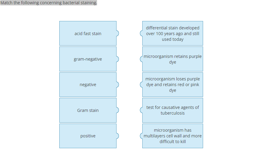 Solved Match the following concerning bacterial staining. | Chegg.com