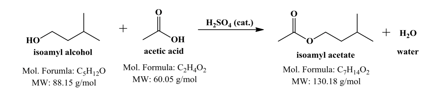 Solved what is the mechanism for this reaction? Synthesis of | Chegg.com