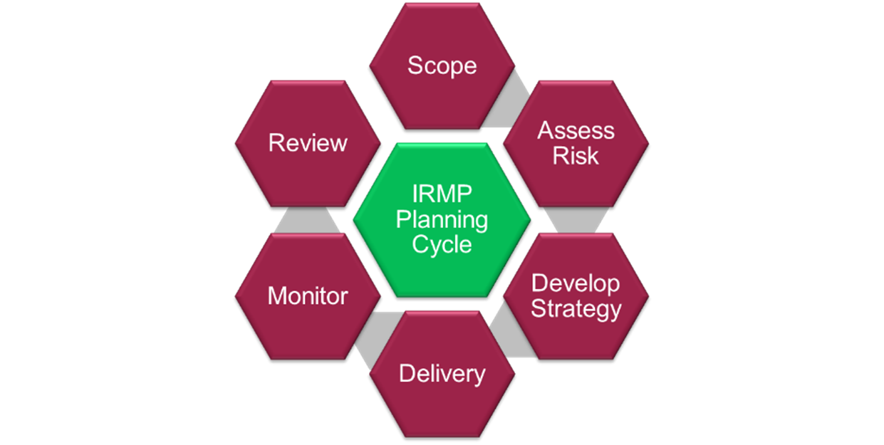 Solved There are 6 stages to Integrated Management Planning: | Chegg.com