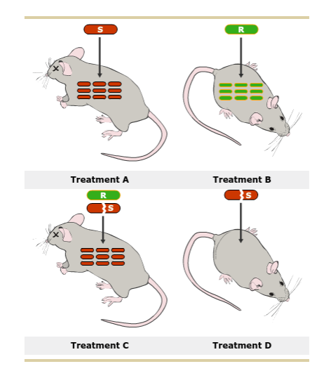 Solved 1. Discovery that DNA carries hereditary Information | Chegg.com