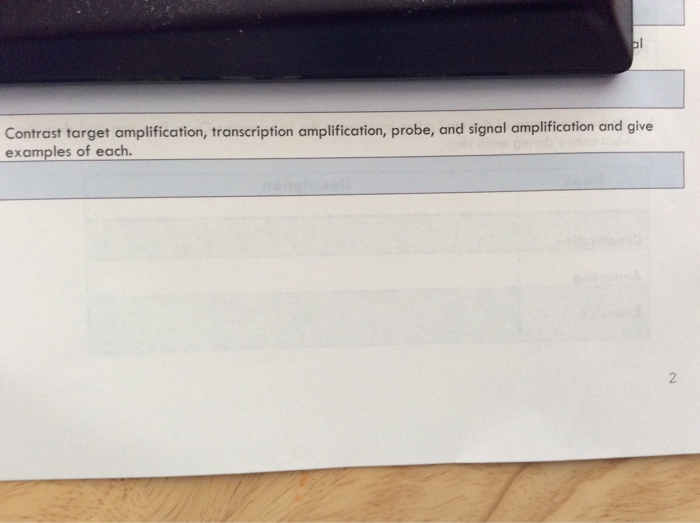 Solved Contrast target amplification, transcription | Chegg.com
