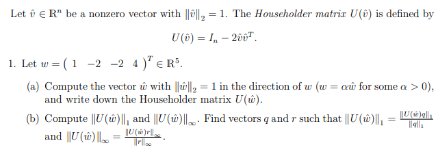 Solved Let v^∈Rn be a nonzero vector with ∥v^∥2=1. The | Chegg.com