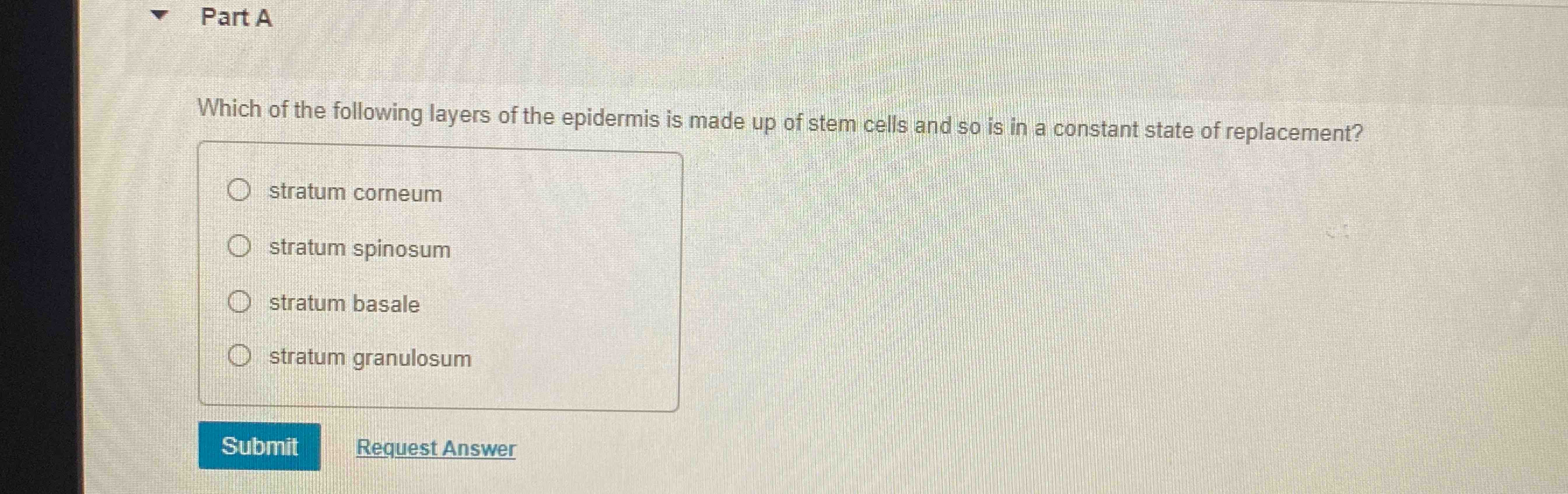 Solved Part AWhich of the following layers of the epidermis | Chegg.com
