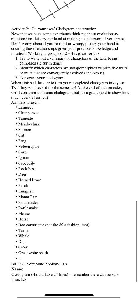 Solved Activity 2: 'On your own' Cladogram construction Now | Chegg.com