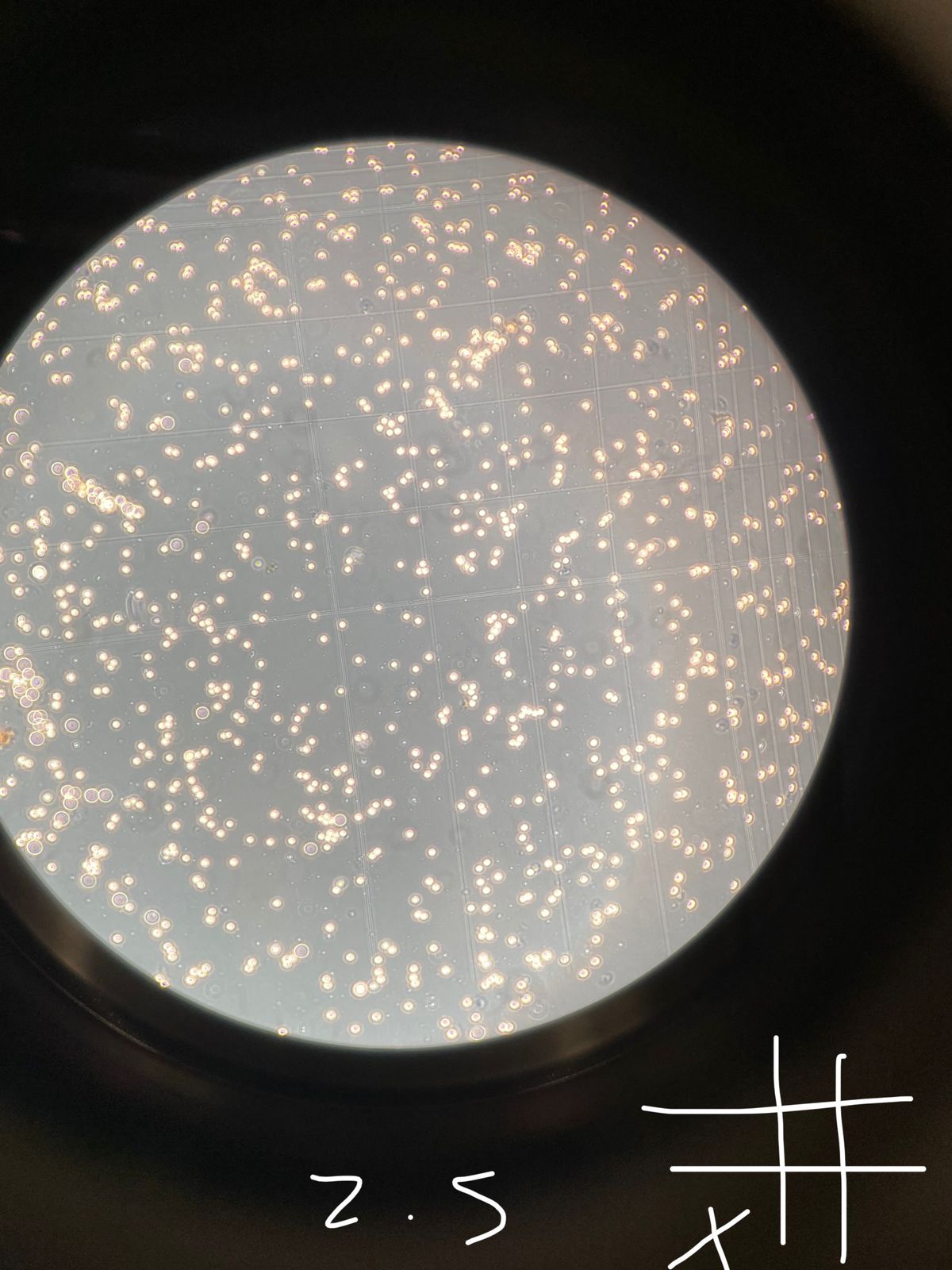 Solved Counting trypsinized cells (with 2.5% 0% (control) | Chegg.com