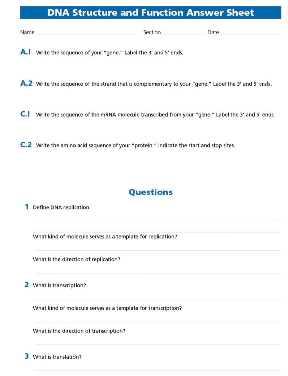 Solved LAB 6 DNA Structure and Function NA is the genetic | Chegg.com