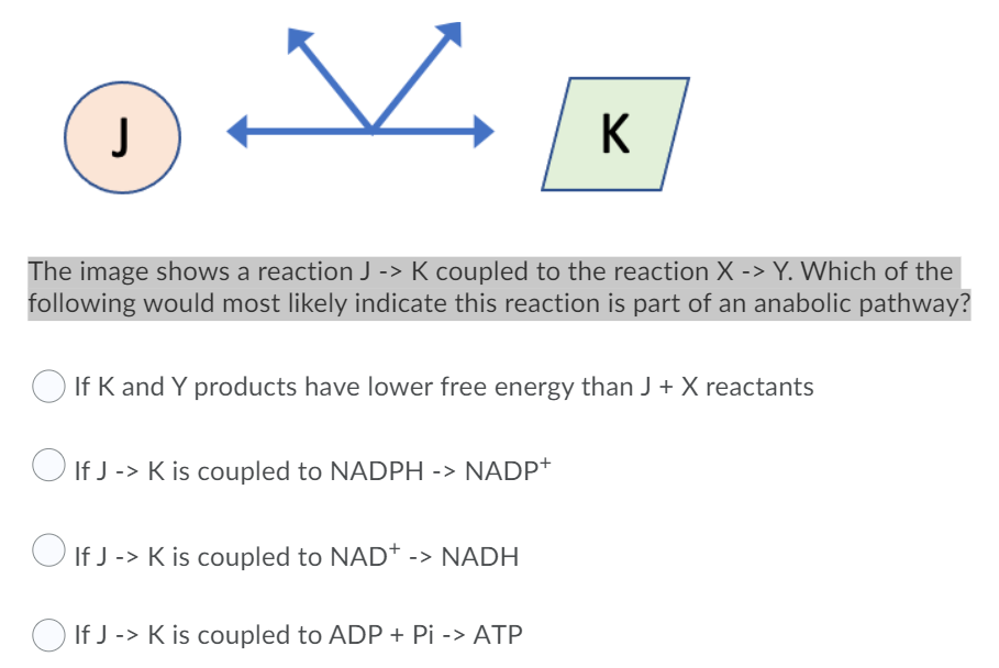 Solved V J K The image shows a reaction J -> K coupled to | Chegg.com