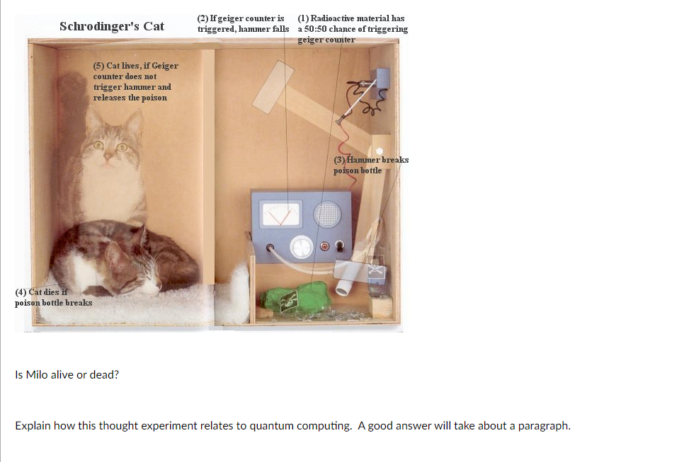 Solved Schrodinger's Cat (2) If geiger counter is (1) | Chegg.com