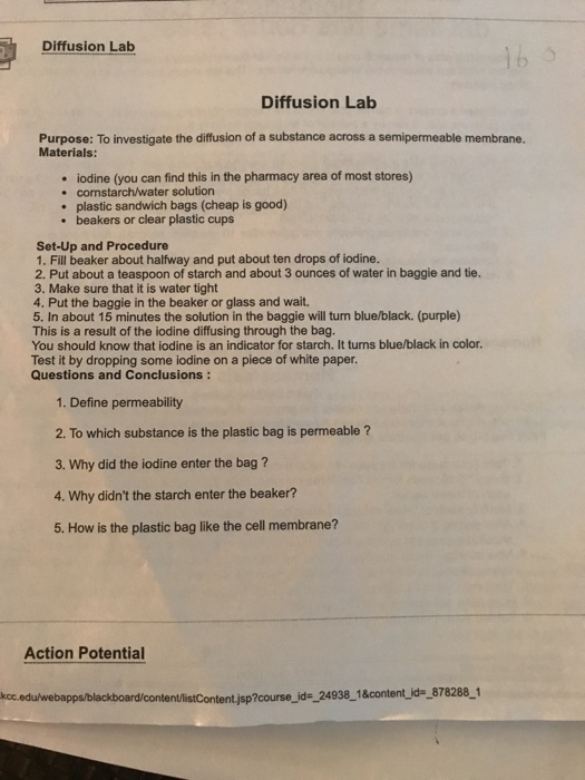 Solved To investigate the diffusion of a substance across a | Chegg.com