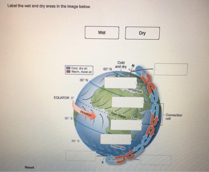 Biology Archive | April 27, 2017 | Chegg.com