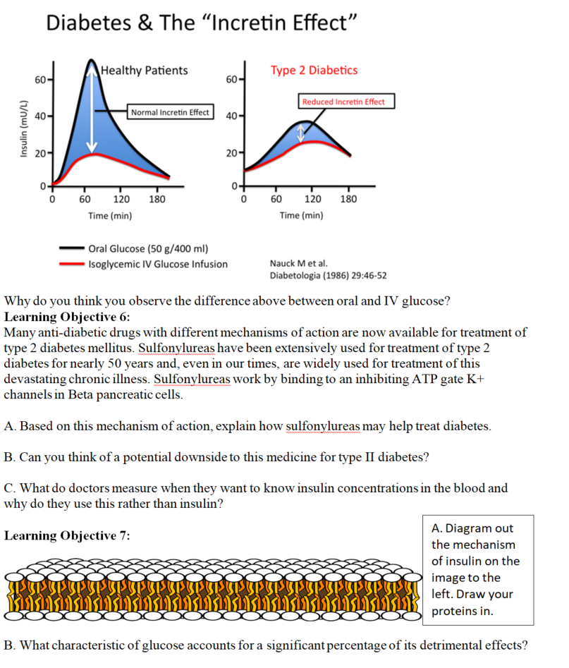 Solved Diabetes & The "Incretin Effect” Healthy Patients | Chegg.com
