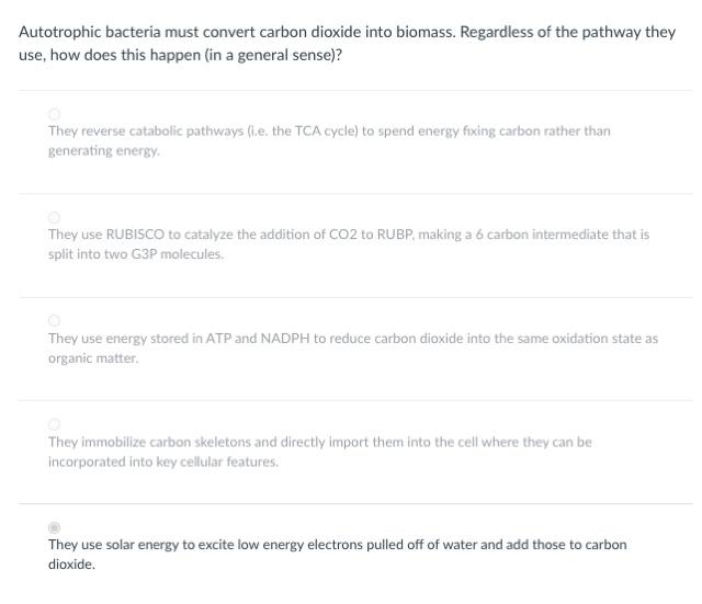 Solved Autotrophic bacteria must convert carbon dioxide into | Chegg.com