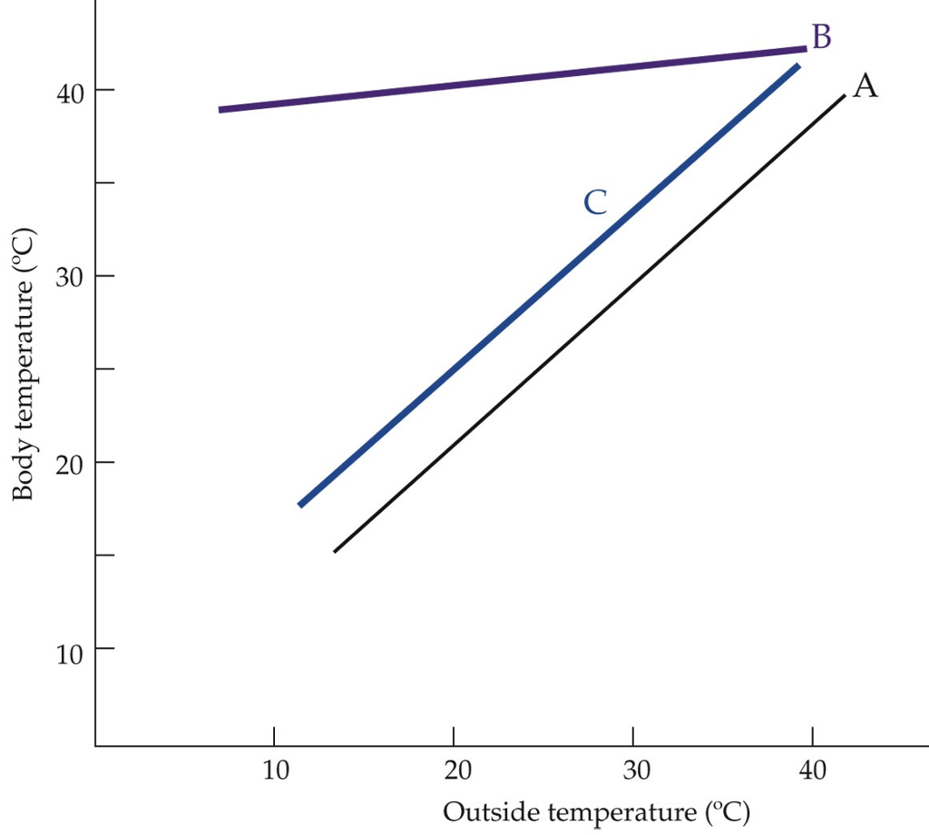 Solved Refer to the graph below showing the relationship | Chegg.com