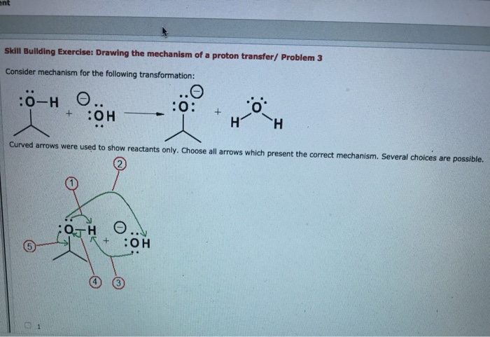 Solved nt skill Building Exercise: Drawing the mechanism of | Chegg.com