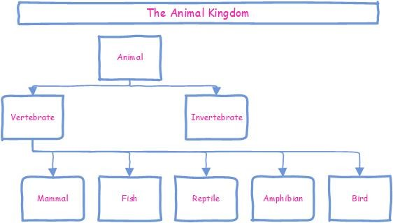Mammals Dogs Cats Humans Lions Leopards Tigers | Chegg.com