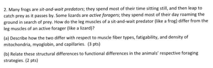 Solved Many frogs are sit-and-wait predators; they spend | Chegg.com