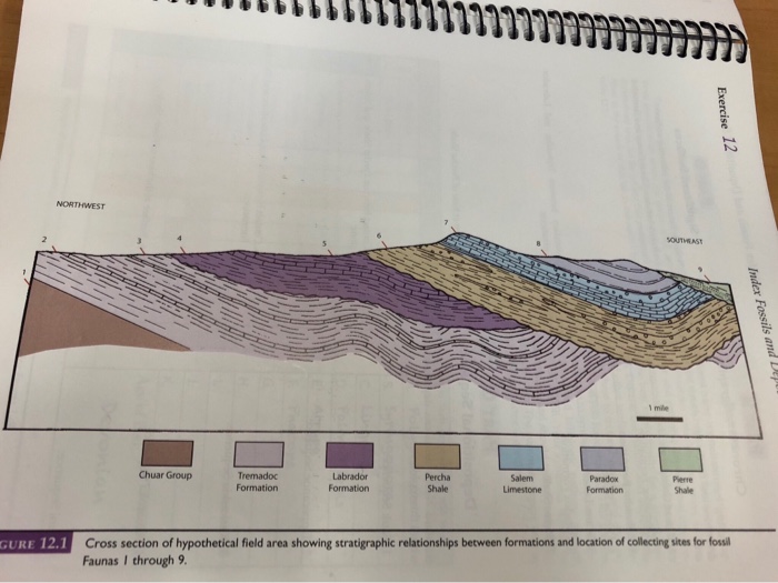 NORTHWEST 1 mle Chuar Group Labrador Formation Percha | Chegg.com