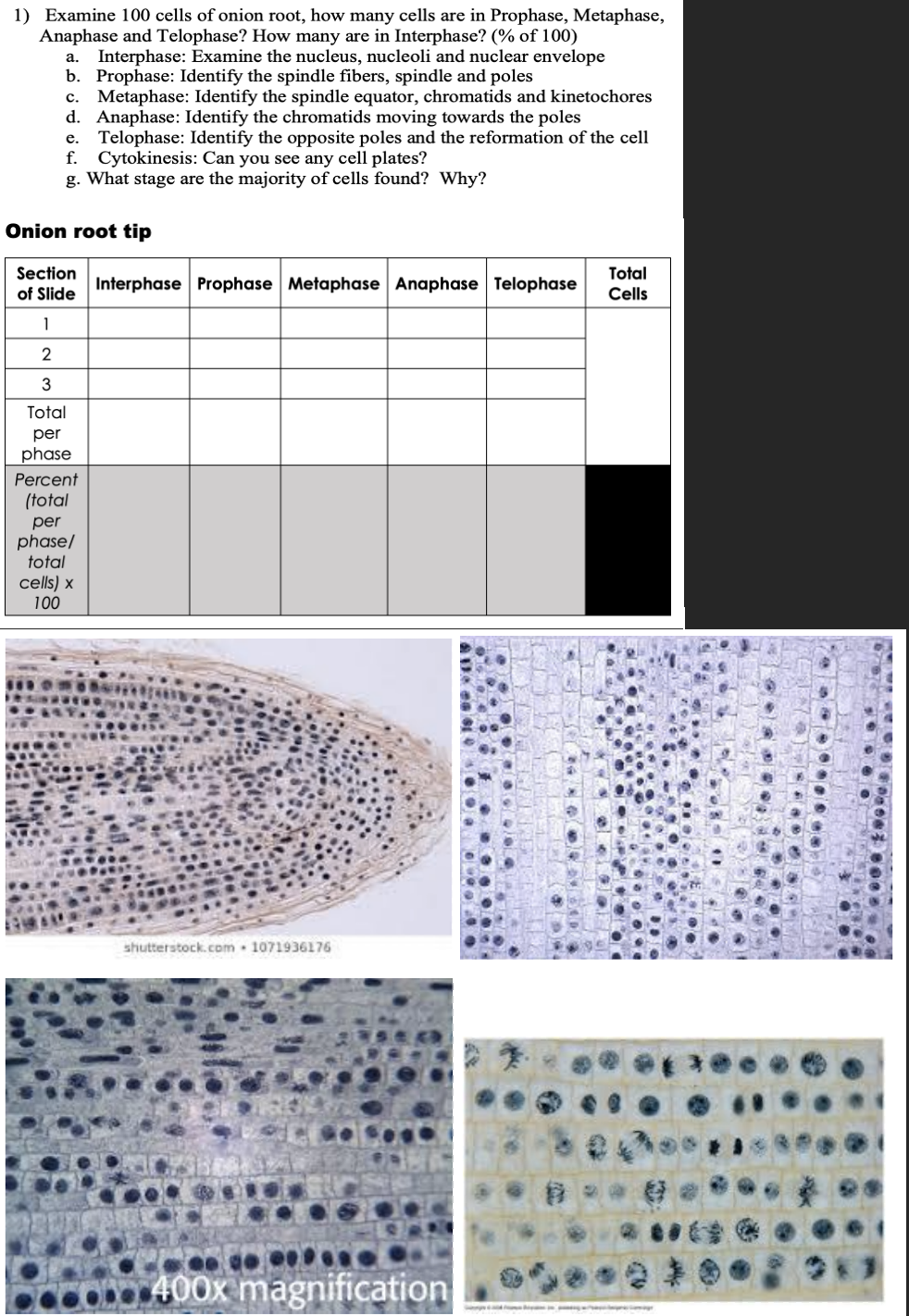 1) Examine 100 cells of onion root, how many cells | Chegg.com