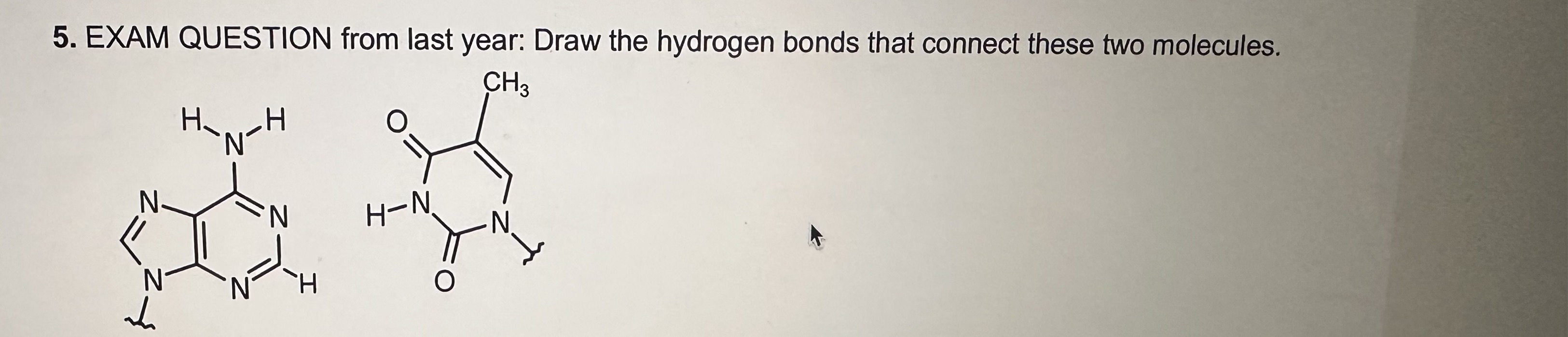 Solved EXAM QUESTION from last year: Draw the hydrogen bonds | Chegg.com