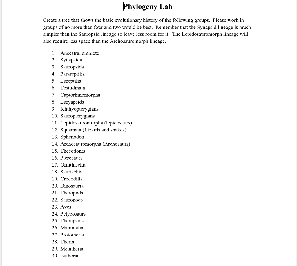 Phylogeny Lab Create a tree that shows the basic | Chegg.com