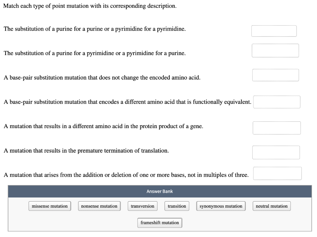Solved Match each type of point mutation with its | Chegg.com