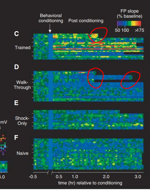 Color plots representing fEPSP slope measures | Chegg.com