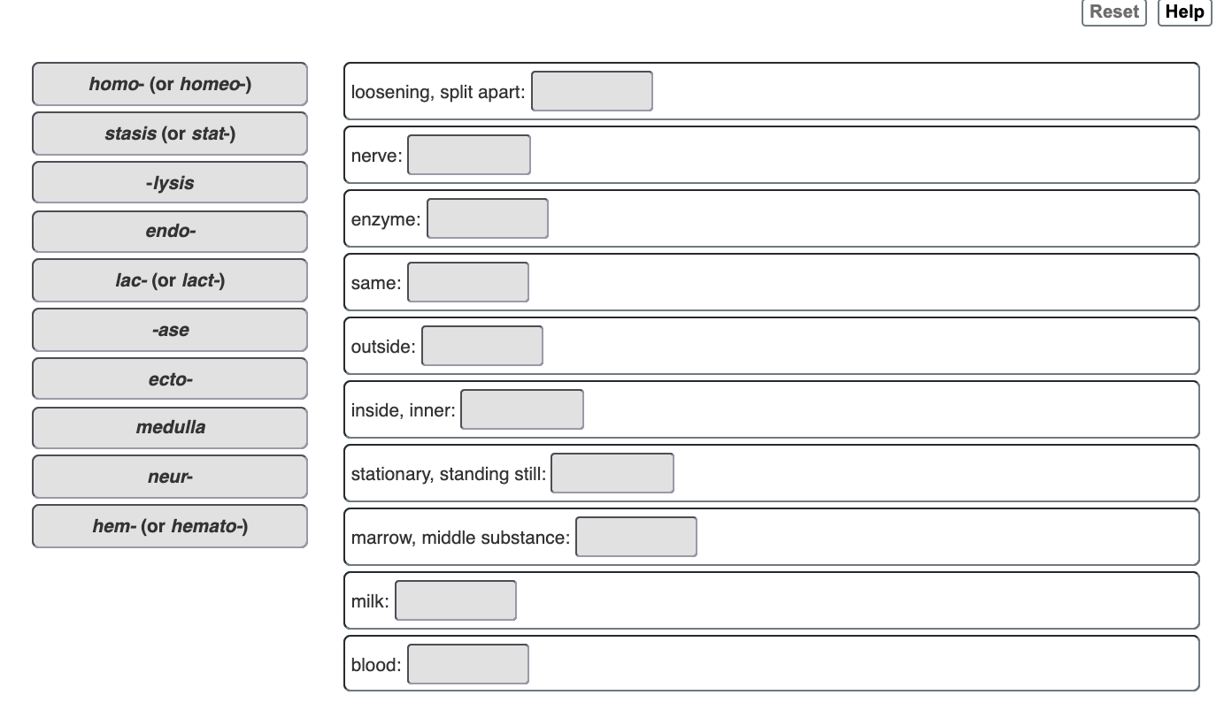 Solved Can you match these prefixes, suffixes, and word | Chegg.com