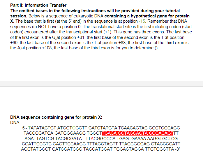 Solved Part II: Information TransferThe omitted bases in the | Chegg.com