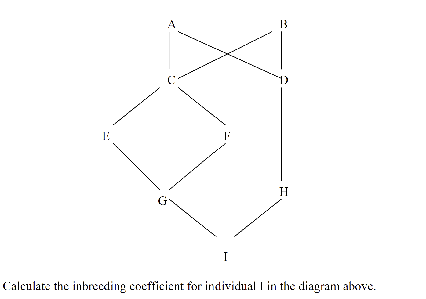 Solved A B E F H I Calculate the inbreeding coefficient for | Chegg.com