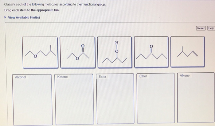 Solved Classify each of the following molecules according to | Chegg.com