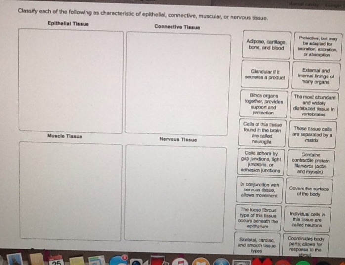 Solved Classify each of the following as characteristic of | Chegg.com