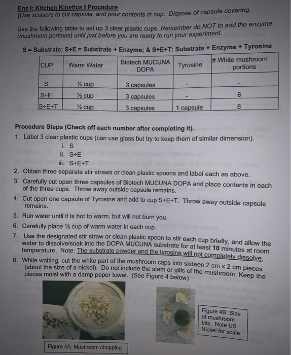 Solved PART 2 - Kitchen Kinetics I In this experiment, you | Chegg.com