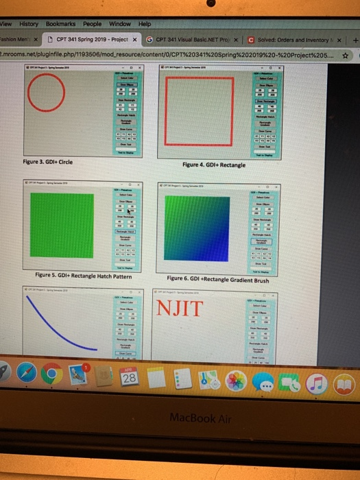 CPT 341 VB.NET NJIT Spring 2019 Project 5 GDI+, | Chegg.com