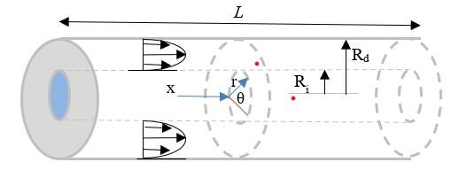 Solved Consider a hydrodynamically fully developed flow in | Chegg.com