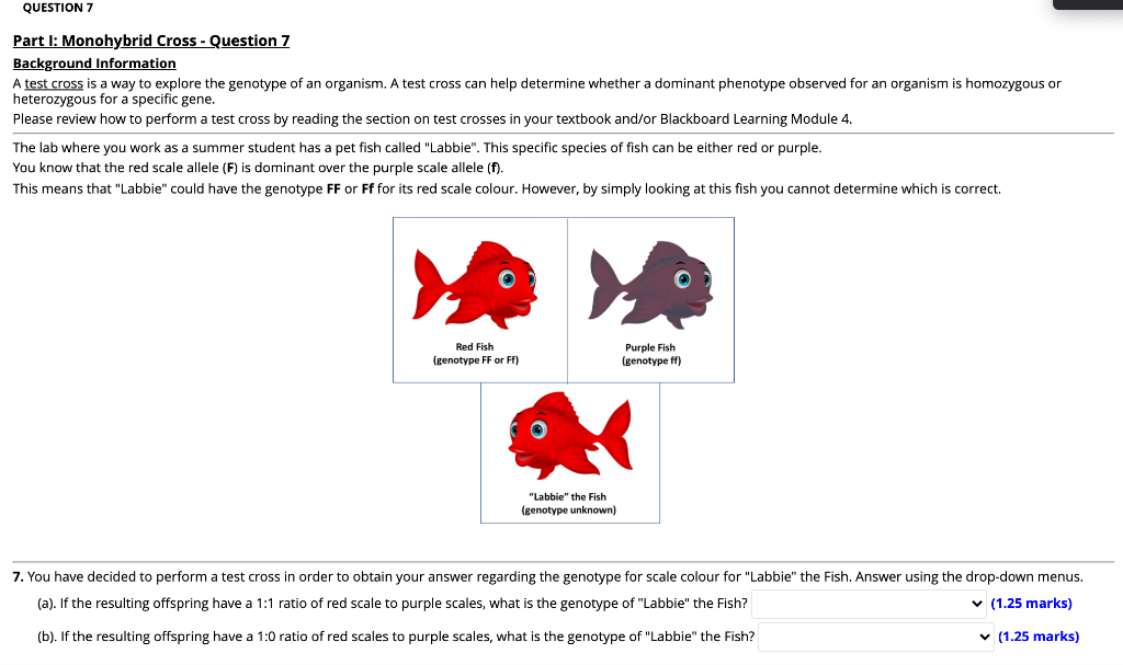Solved QUESTION 7 Part 1: Monohybrid Cross - Question 7 | Chegg.com
