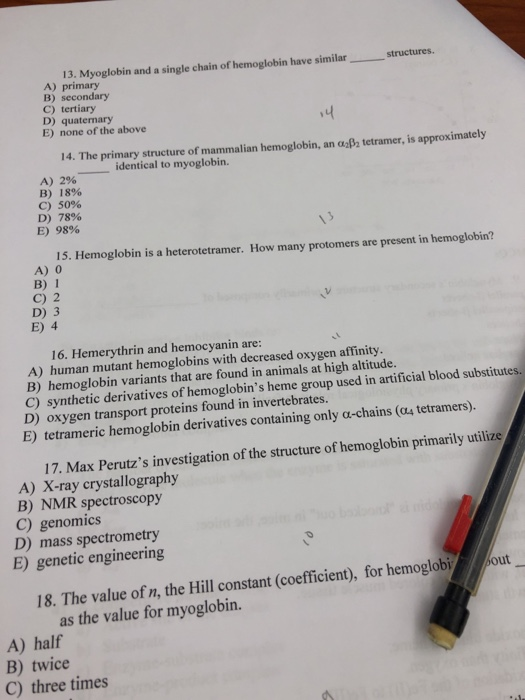 Solved 13. Myoglobin and a single chain of hemoglobin have | Chegg.com