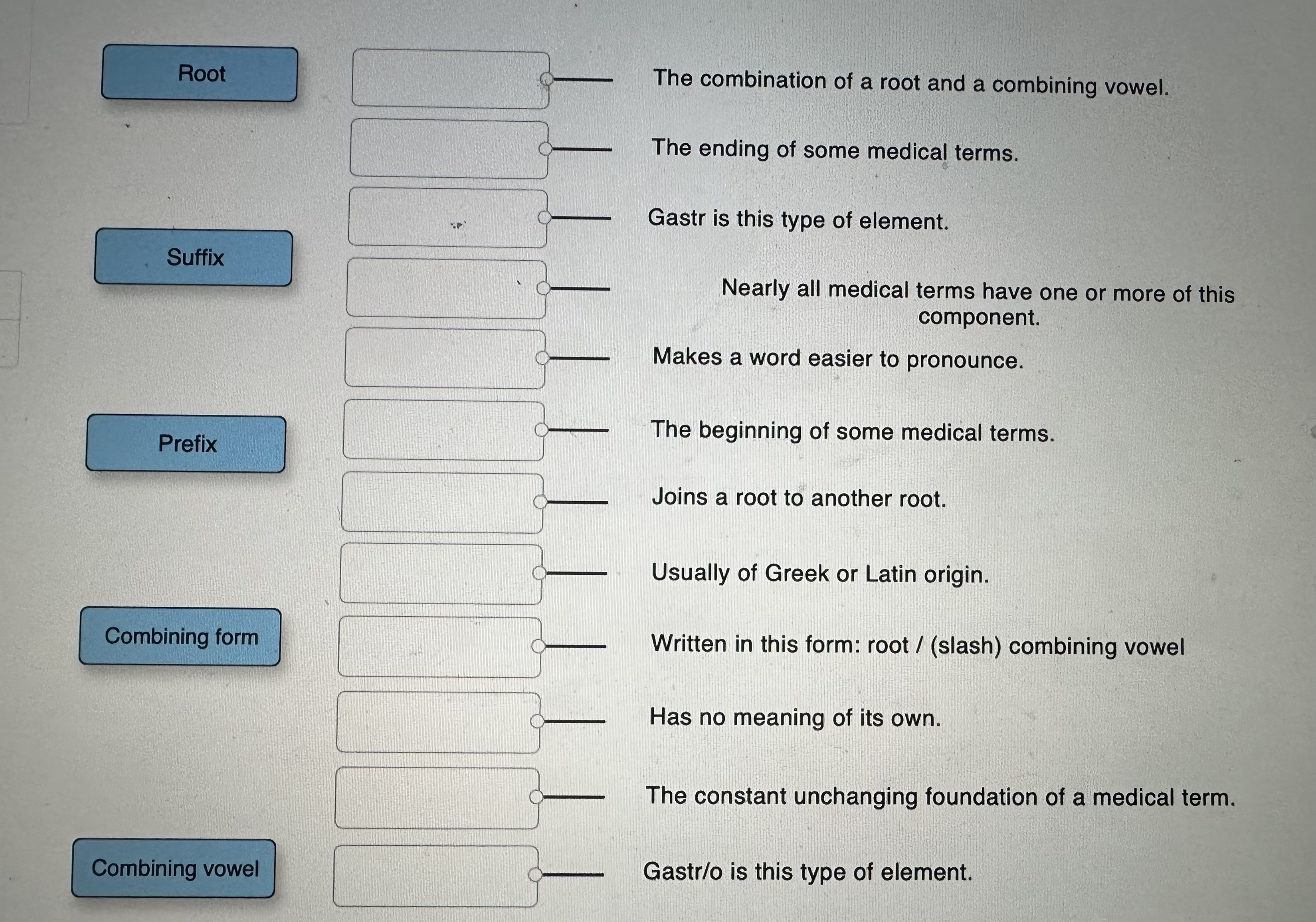 Solved The combination of a root and a combining vowel. The | Chegg.com