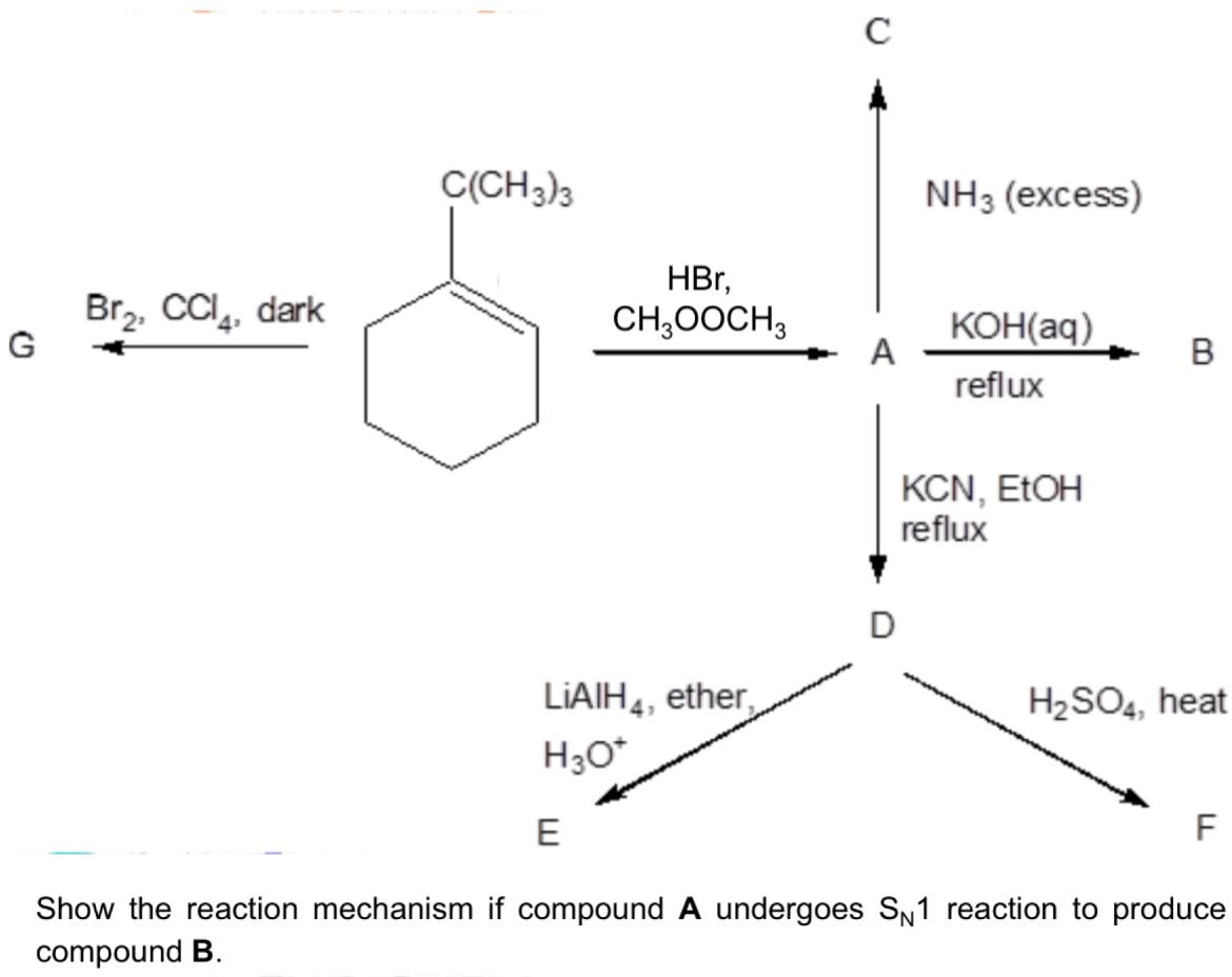 Solved с C(CH3)3 NH3 (excess) Br, CCI. dark HBr, CH2OOCH3 | Chegg.com