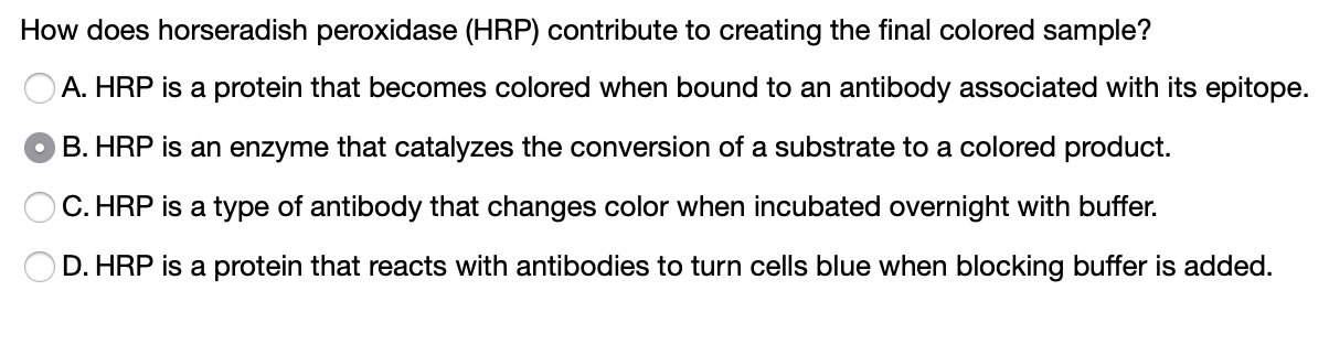 Solved How does horseradish peroxidase (HRP) contribute to | Chegg.com