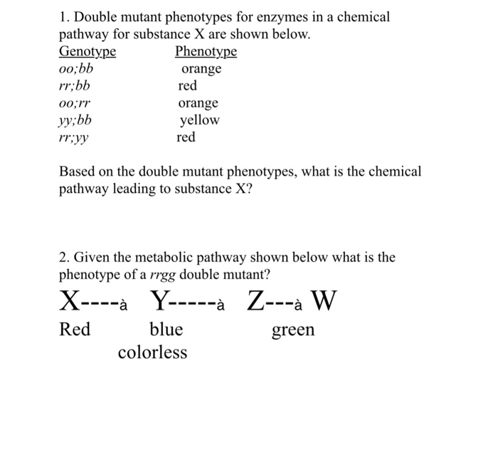 Solved 1. Double mutant phenotypes for enzymes in a chemical | Chegg.com